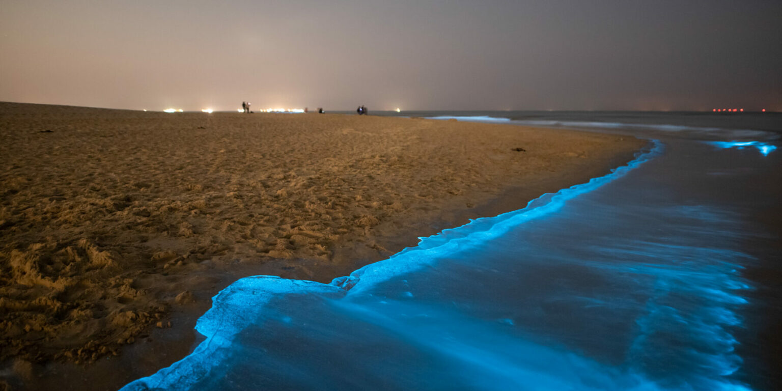 Ferienziel des Monats November: Katwijk aan Zee - Holland-Blog
